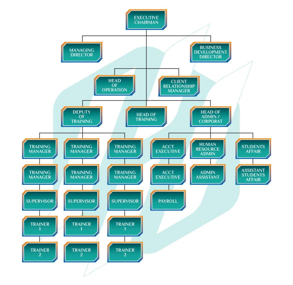 Team Organogram – Hansal Holding BD